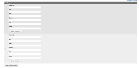 Entities Custom Module Field Displays Twice When Adding Content Drupal Answers
