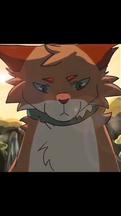 коты воители огнезвёзд Эдит котывоители огнезвезд Youtube