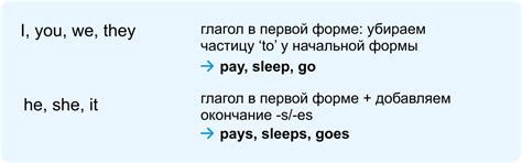 Present Simple — настоящее время. Схемы, примеры и правила