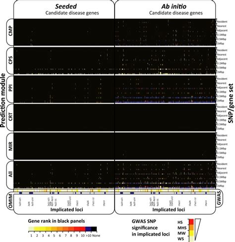 Candidate Disease Gene Prediction And Prioritization Heatmap For