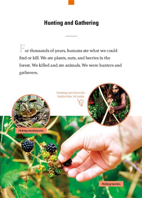 Seed Learning 씨드러닝