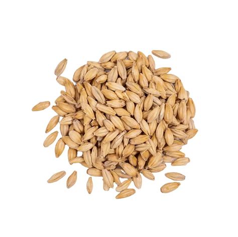 High Quality Barley Grain Dried Hulled Barley At Competitive Price