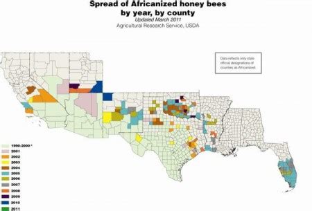 Genomic Research In Canada Tackles Honeybee Die Off