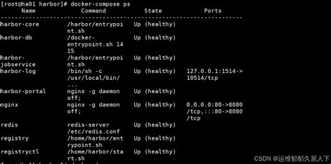 小新学习docker之docker Harbor私有仓库部署与管理 Harbor使用教程 Csdn博客