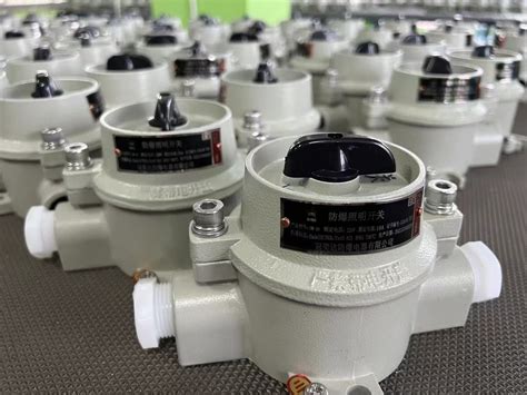 220v 380v Explosion Proof Electrical Selector Switch With Wf2 Grey Zone 22