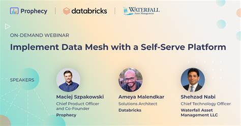 Implement Data Mesh With Prophecy Self Serve Platform On The Lakehouse