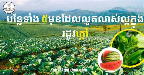 ព័ត៌មានកសិកម្ម នាទីកសិកម្ម Kaksekam Time