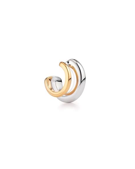 Aaria London Duo Ear Cuff In Metallic Lyst