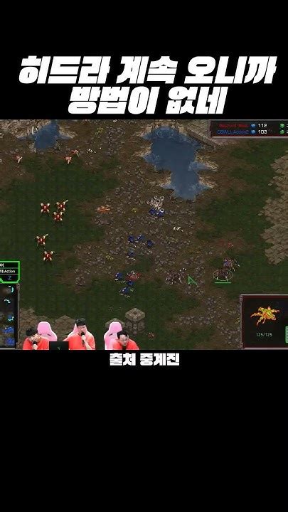 히드라 계속 오니까 방법이 없네 스타크래프트 히드라 프로토스 스타플레이 Youtube