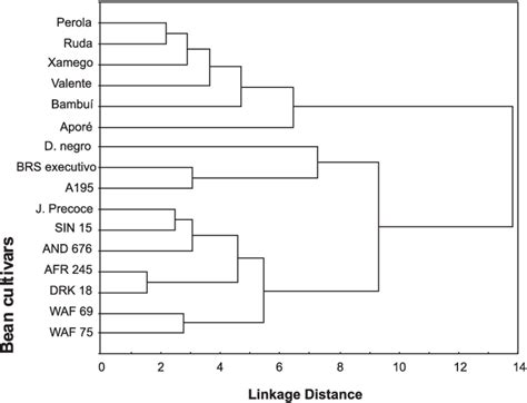 Dendrogram Obtained By Cluster Analysis Of Bean Cultivars Using Wards Download Scientific