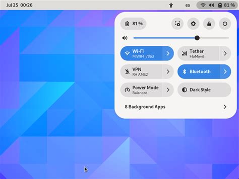 GNOME Shell Mutter