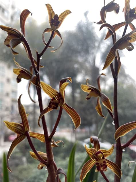 前端布局常用关键字梳理 知乎