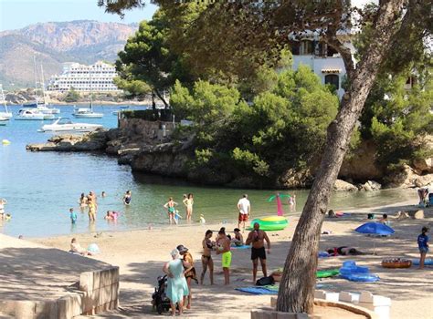 Caló Den Pellicer Beach Small Sandy Beach Santa Ponsa
