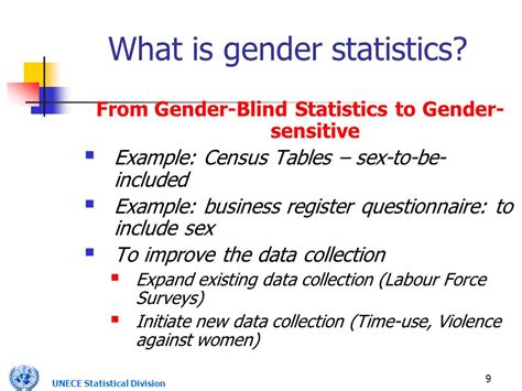 1 Gender Statistics What Is All About Angela Me Unece Statistics