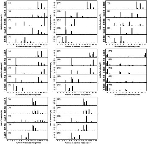 Yield Of The Natural Dna Generated By Primer Extension Reactions