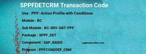 SPPFDETCRM SAP Tcode For PPF Action Profile With Conditions