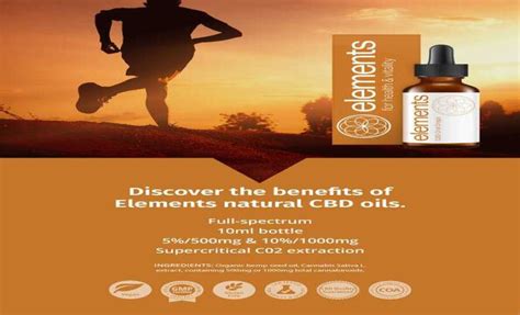 Elements Brochure Print Design Analysis Designrush