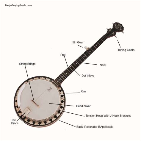 What Are The Parts Of A Fiddle At Michael Knott Blog