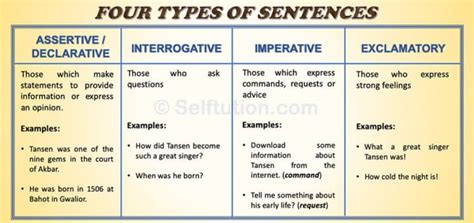 Assertive Sentence