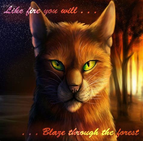 Fire Cats Wallpapers Wallpaper Cave