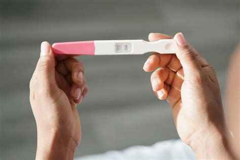 Negative Pregnancy Test But No Period Pinkparcel