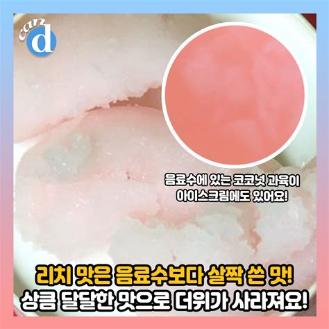 코코넛 과육이 그대로 모구모구 아이스크림 먹어본 후기 디스패치 뉴스는 팩트다