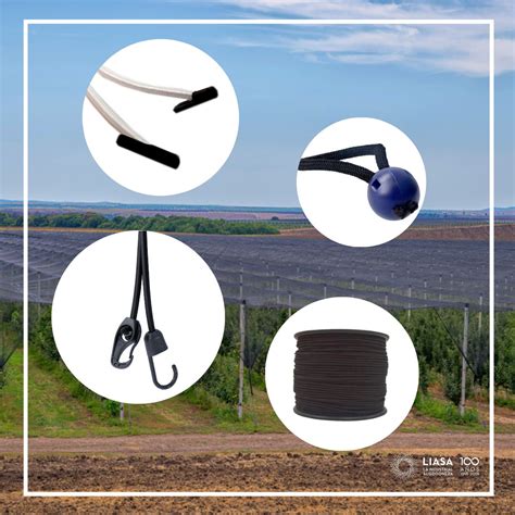 En Liasa La Industrial Algodonera Nos Dedicamos A Ofrecer Soluciones Integrales Para La