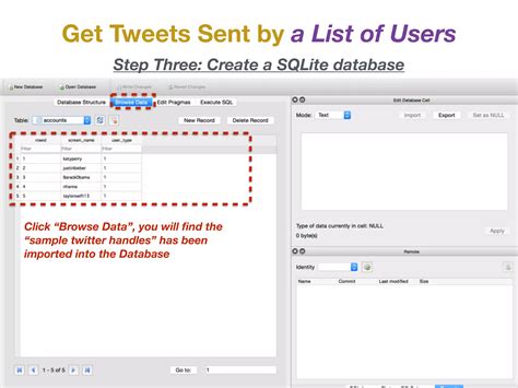 collect twitter data using python pdf