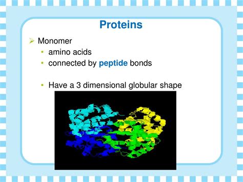Ppt Chapter 5 The Structure And Function Of Macromolecules Powerpoint Presentation Id 6702530