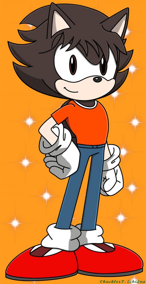 Valko The Hedgehog By Chucklestcp On Deviantart