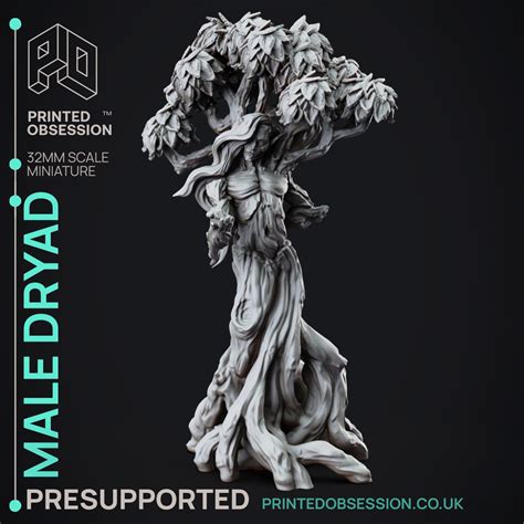 Archivo 3d Dryad Faywild Vs Shadowfell Presupuesto Ilustrado Y Estadísticas Escala 32mm