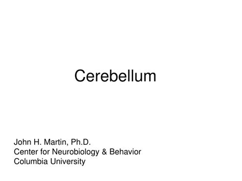 Ppt Exploring Cerebellar Functions Anatomy Pathways And Impacts On Motor Control Powerpoint