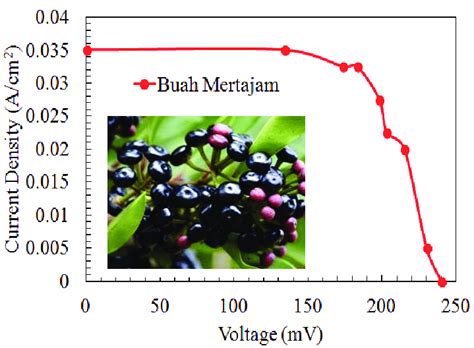 Current Density Versus Voltage Curve For Dsscs Sensitized Using The