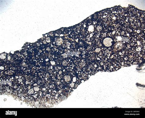 Micrograph Of Mil 07293 2 Meteorite Under Plane Polarized Light At 1 25x Magnification Stock