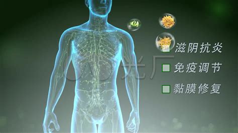 药品功效作用 Ae模板下载 编号 3081734 Ae模板 光厂 Vj师网