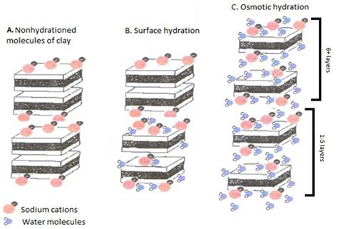 Shale Hydration Process Download Scientific Diagram