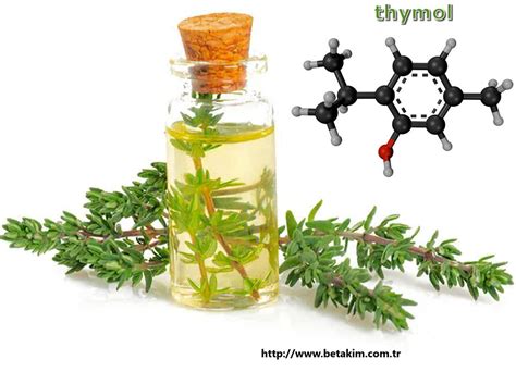 Tİmoltimol Thymol Thymol Isopropyl Methyl Phenol Kekik Yağı 89 83 8