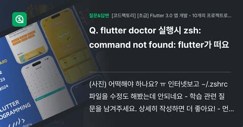 Flutter Doctor 실행시 Zsh Command Not 인프런 커뮤니티 질문and답변