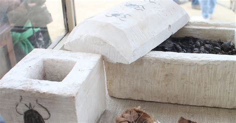 이집트 사카라서 발굴된 풍뎅이 미라