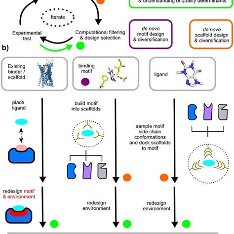 Schematic Depicting Key Advances In Computational Protein Design These