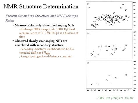 Nmr Structure Determination With The Nmr Assignments And
