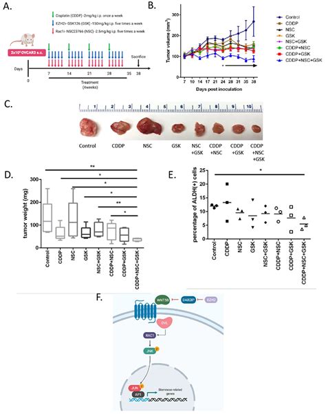 Ezh2 Mediated Downregulation Of The Tumor Suppressor Dab2ip Maintains Ovarian Cancer Stem Cells