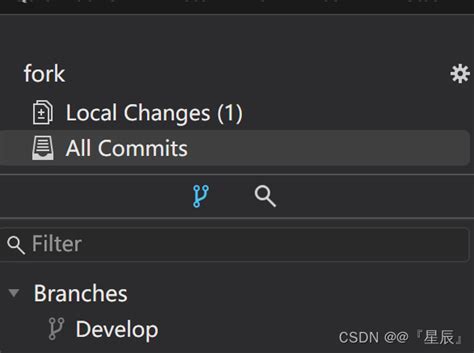 fork使用教程 csdn博客