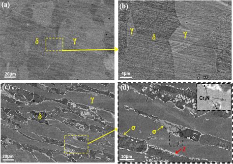 Characterization Of The Native Passive Film On Ferrite And Austenite Phases Of Sensitized 2205