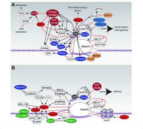 Transcription And Latency A The Interaction Scheme Displays