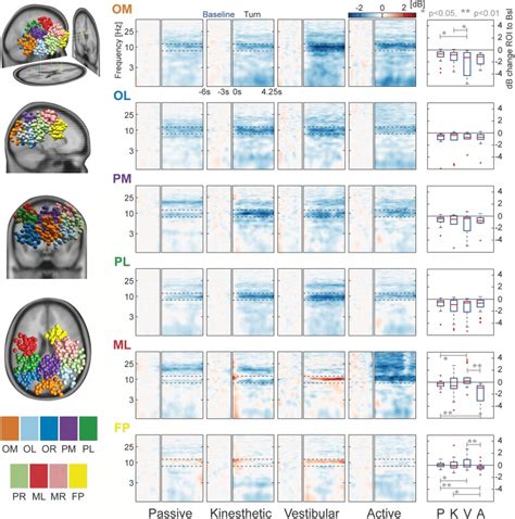 Clusters And Task Related Alpha Modulations The Left Column Displays