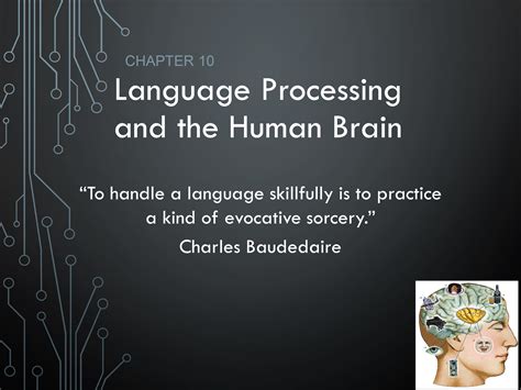Essentials Of Linguistics Remix 2 0 Social Sci Libretexts