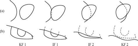 Occlusion Color Management