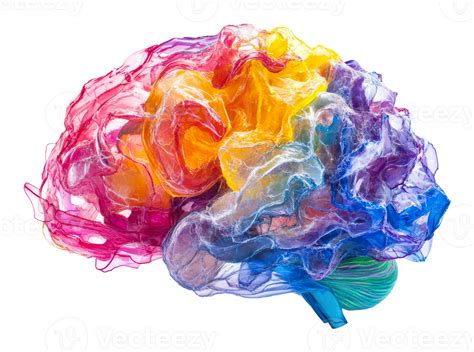Vibrant Brain Model Shows Creativity 55499061 Png