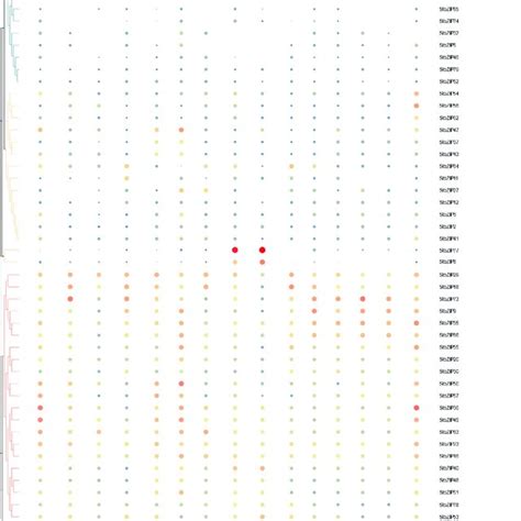 heat map representation and hierarchical clustering of stbzip